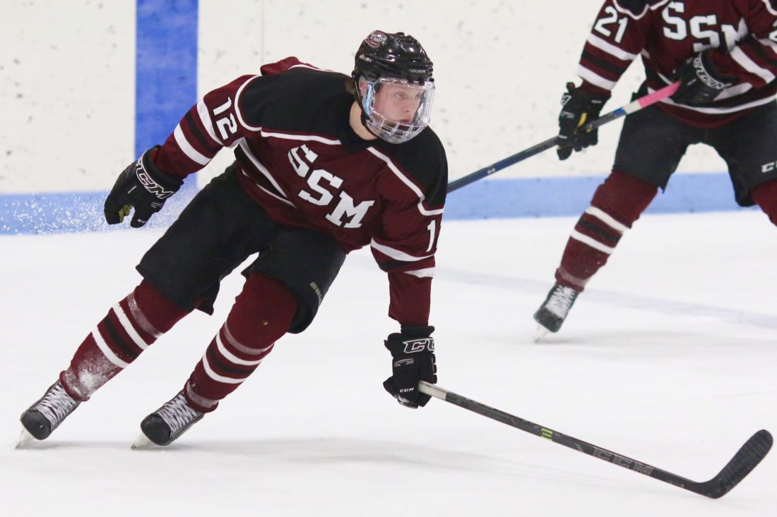 Bink makes hockey plans | News, Sports, Jobs - Daily Press